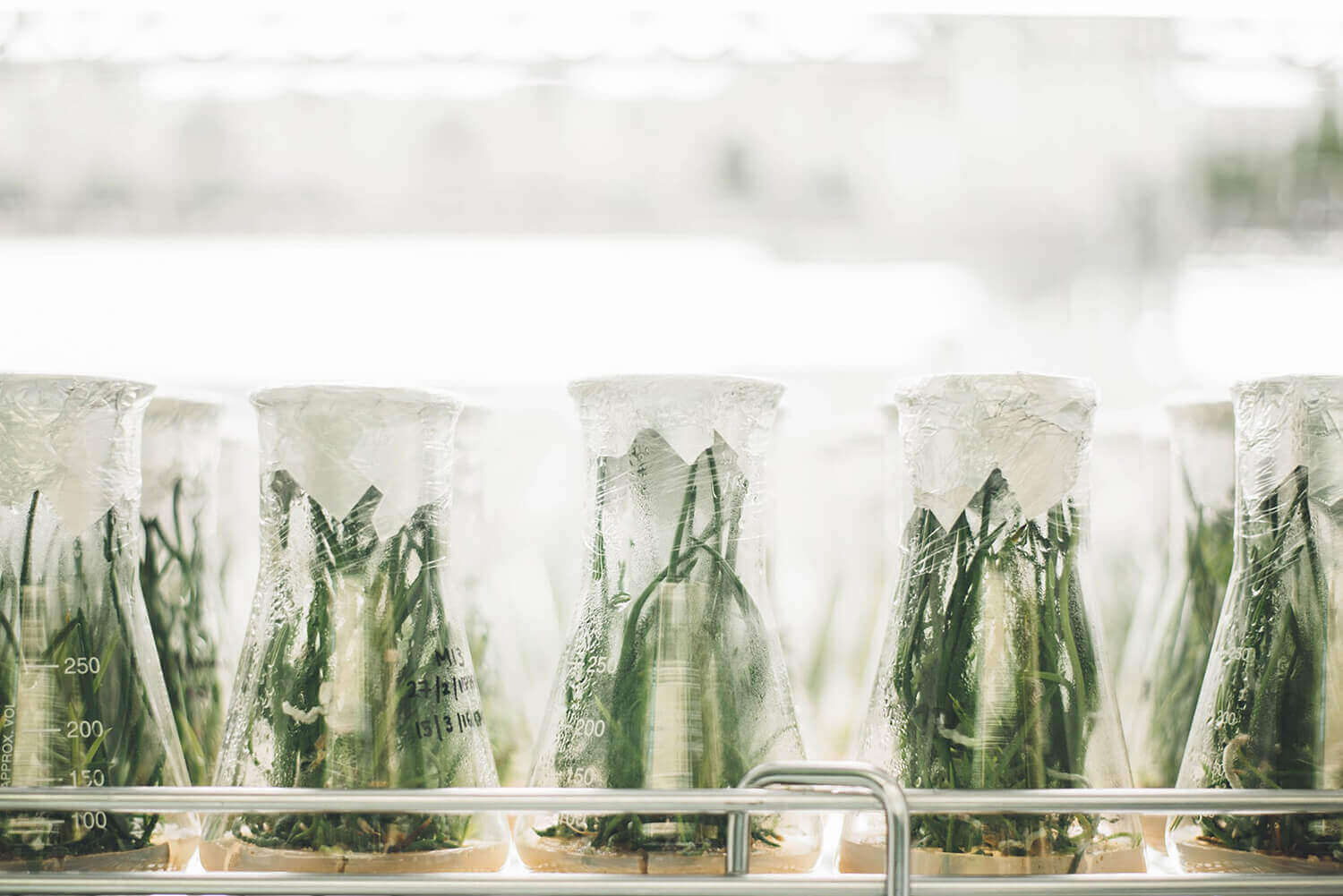 How to Read a Skincare Ingredient Label | Software