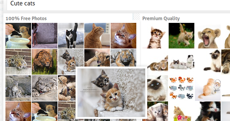 3 WordPress Plugins to Improve Productivity | Mailmunch