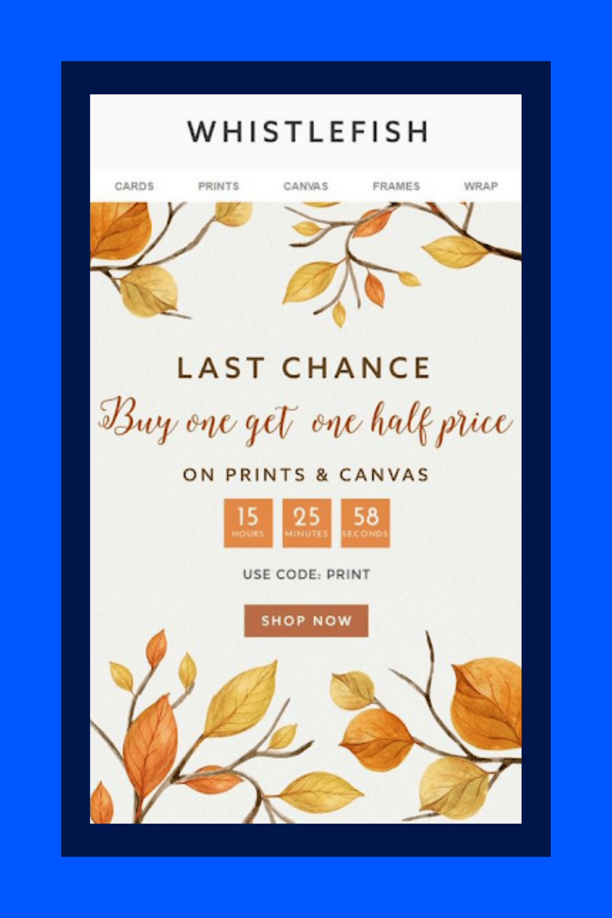 Promotional Emails Guide: 35 Best Examples [Tips+Ideas] | Mailmunch