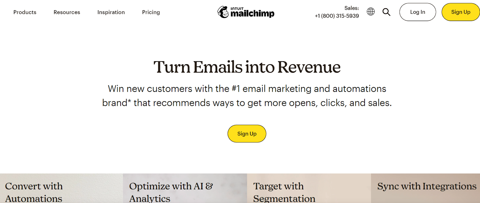 WordPress Email Marketing 101: An In-depth Guide for Beginners [2024] | Mailmunch