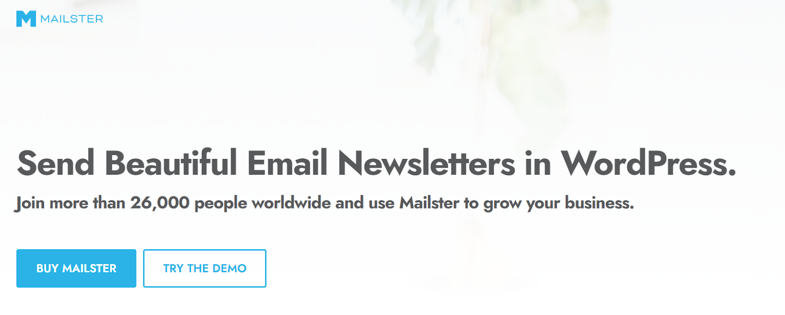 WordPress Email Marketing 101: An In-depth Guide for Beginners [2024] | Mailmunch