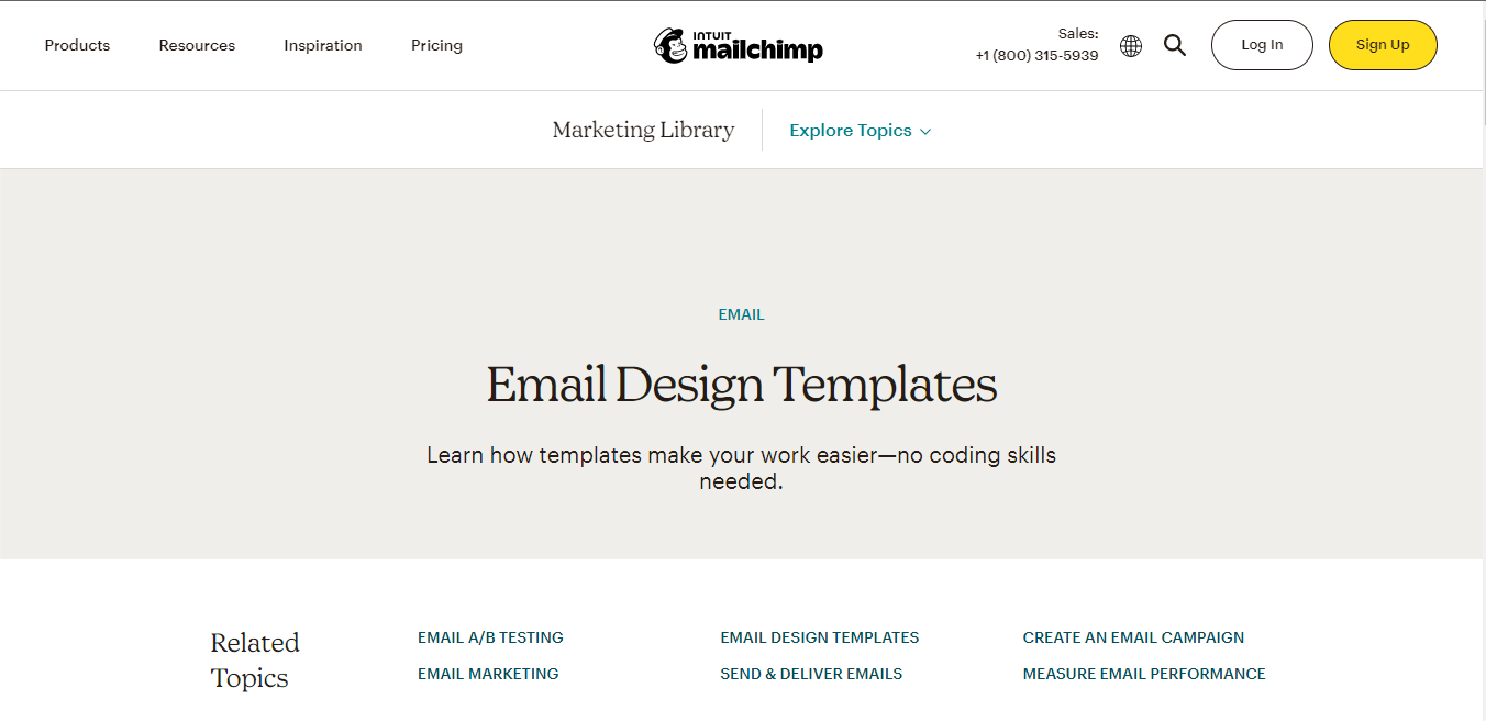 Top 11 Platforms For Terrific Email Marketing Templates in 2024 | Mailmunch