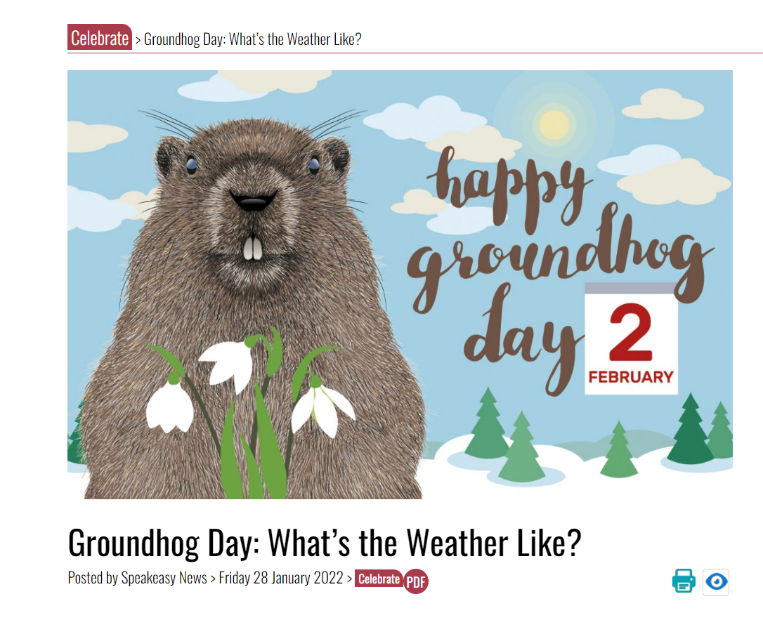 43+ February Newsletter Ideas For Your Marketing Campaigns In 2024 ...