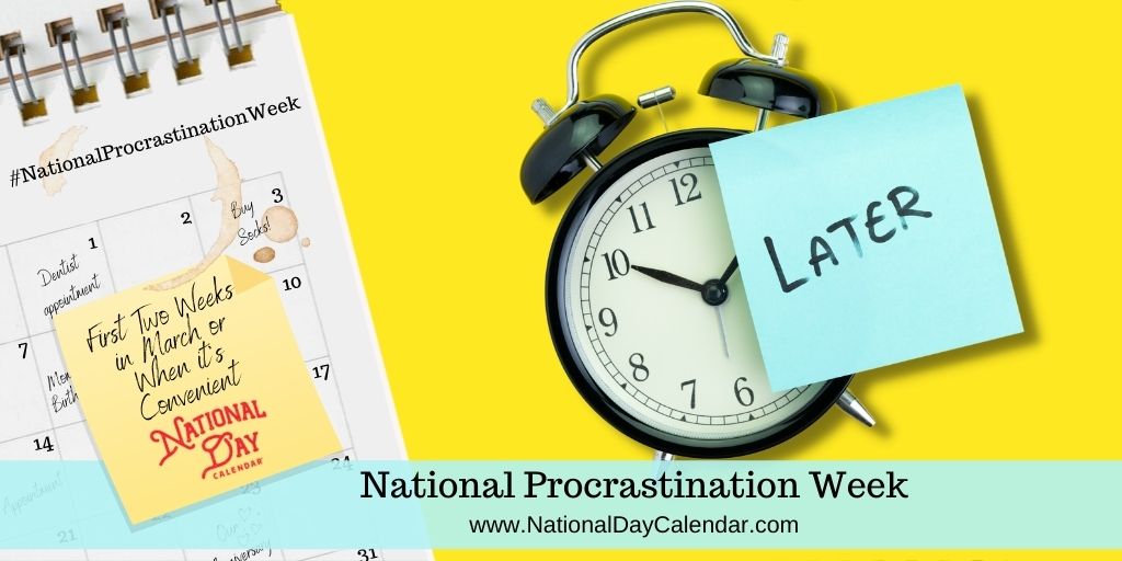 45+ March Newsletter Ideas For Your Marketing Campaings In 2024 | Mailmunch