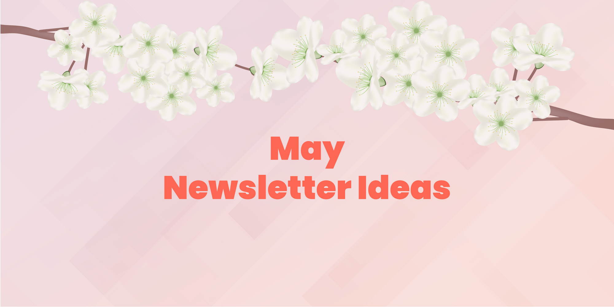 45+ May Newsletter Ideas For Your Marketing Campaings in 2024 | Mailmunch
