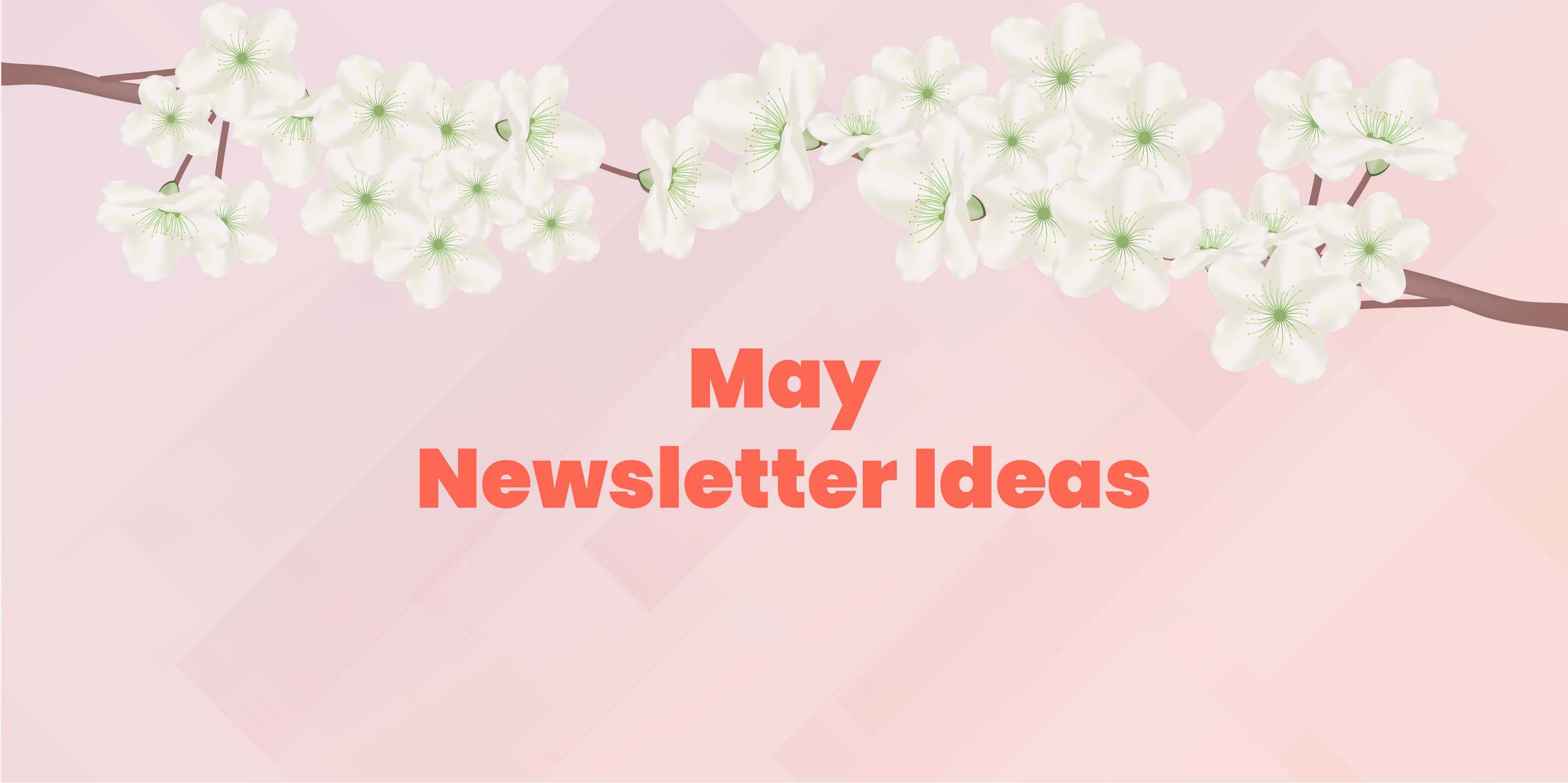 45+ May Newsletter Ideas For Your Marketing Campaings in 2024 | Mailmunch