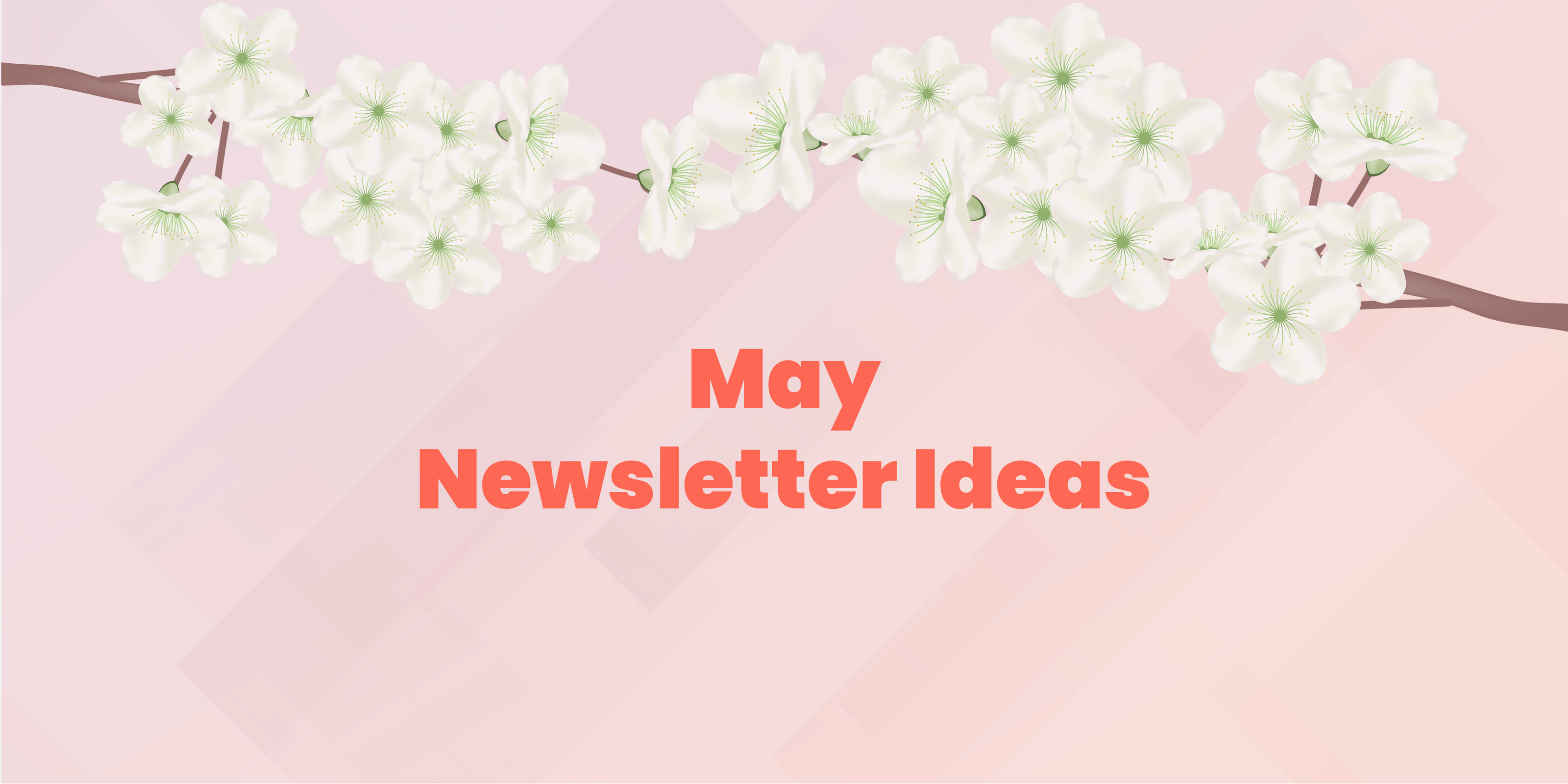 45+ May Newsletter Ideas For Your Marketing Campaings in 2024 | Mailmunch