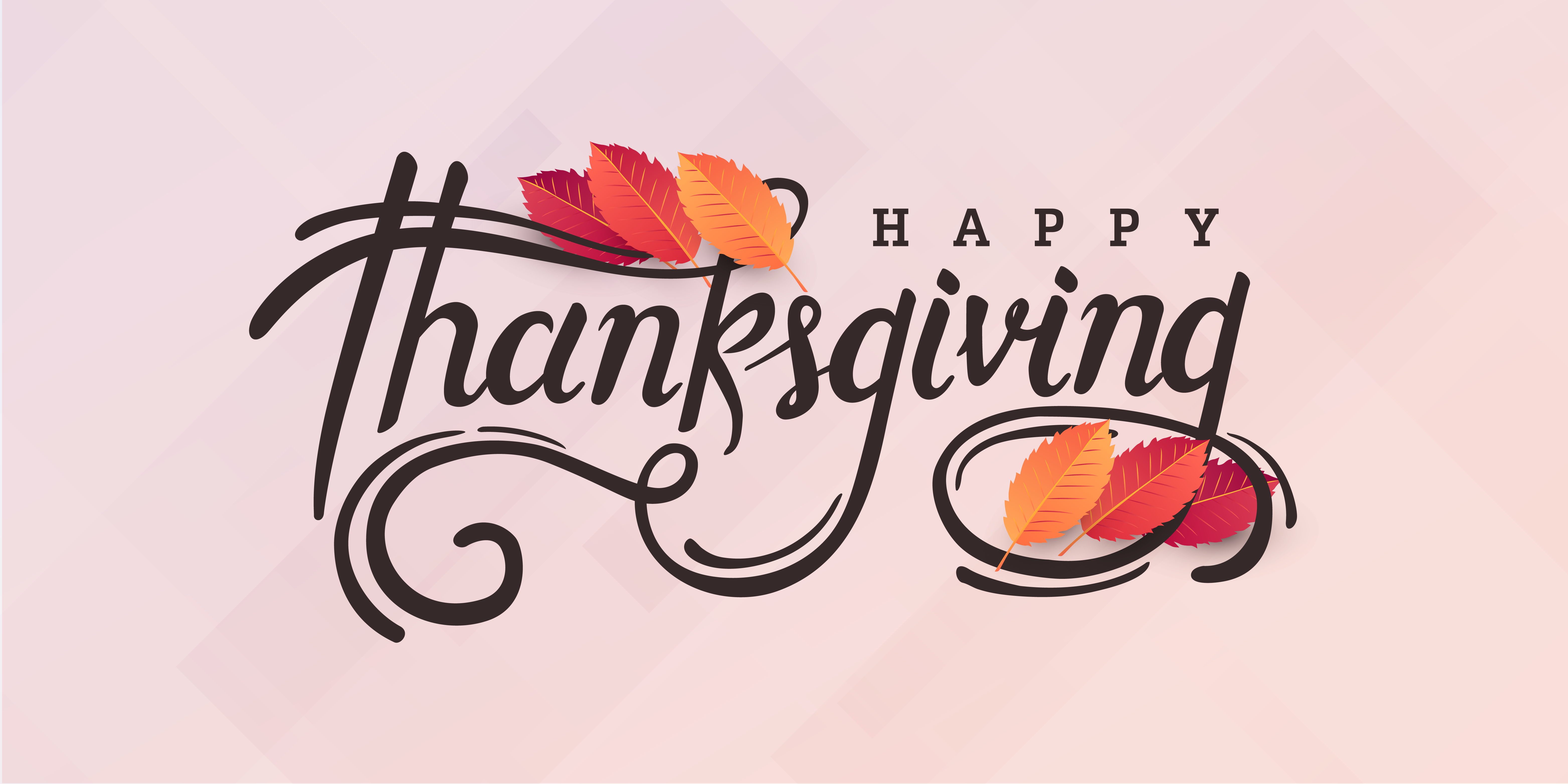 13 Terrific Thanks Giving Email Examples (+Tips) | Mailmunch