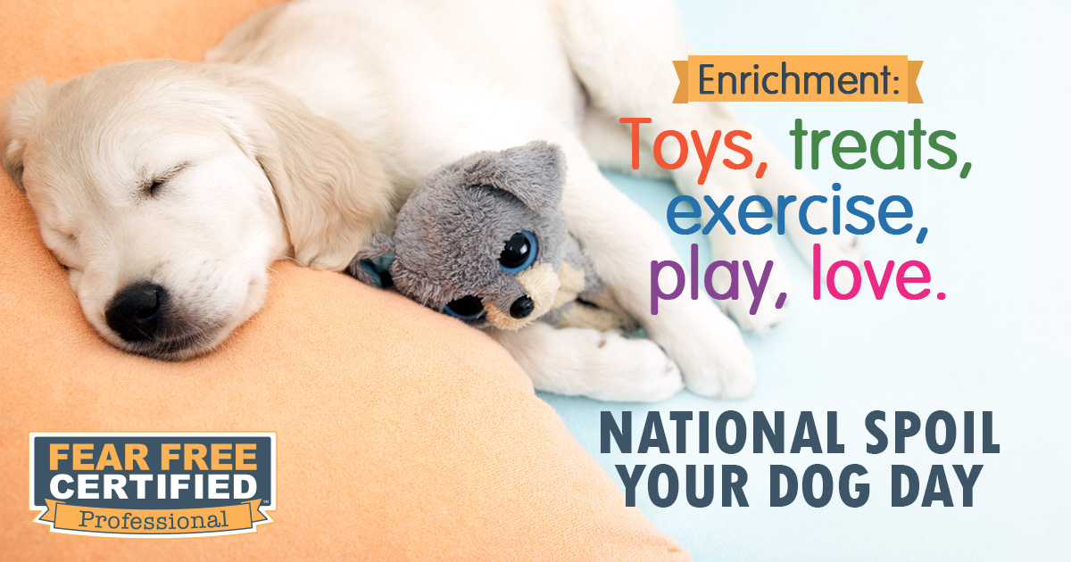 70 + August Newsletter Ideas For Your Marketing Campaigns | Mailmunch