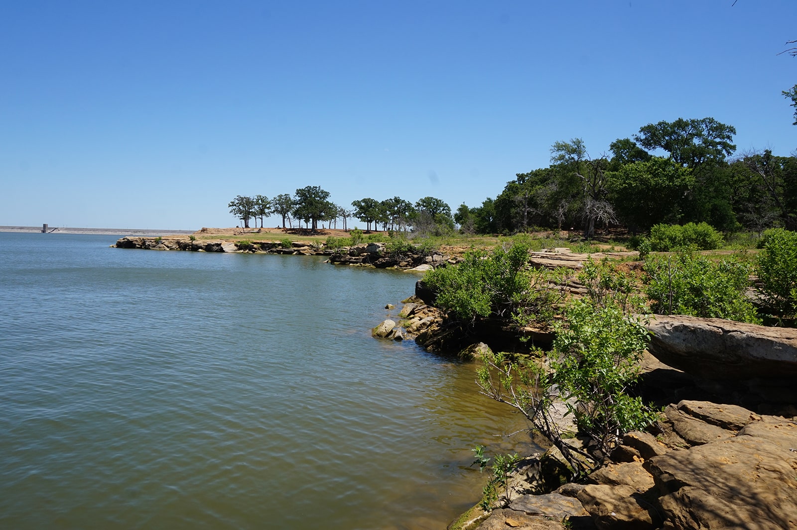 Plummer: Grapevine Lake Nutrient Modeling