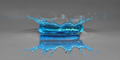 2021-2022 TINZ Financial Performance Report