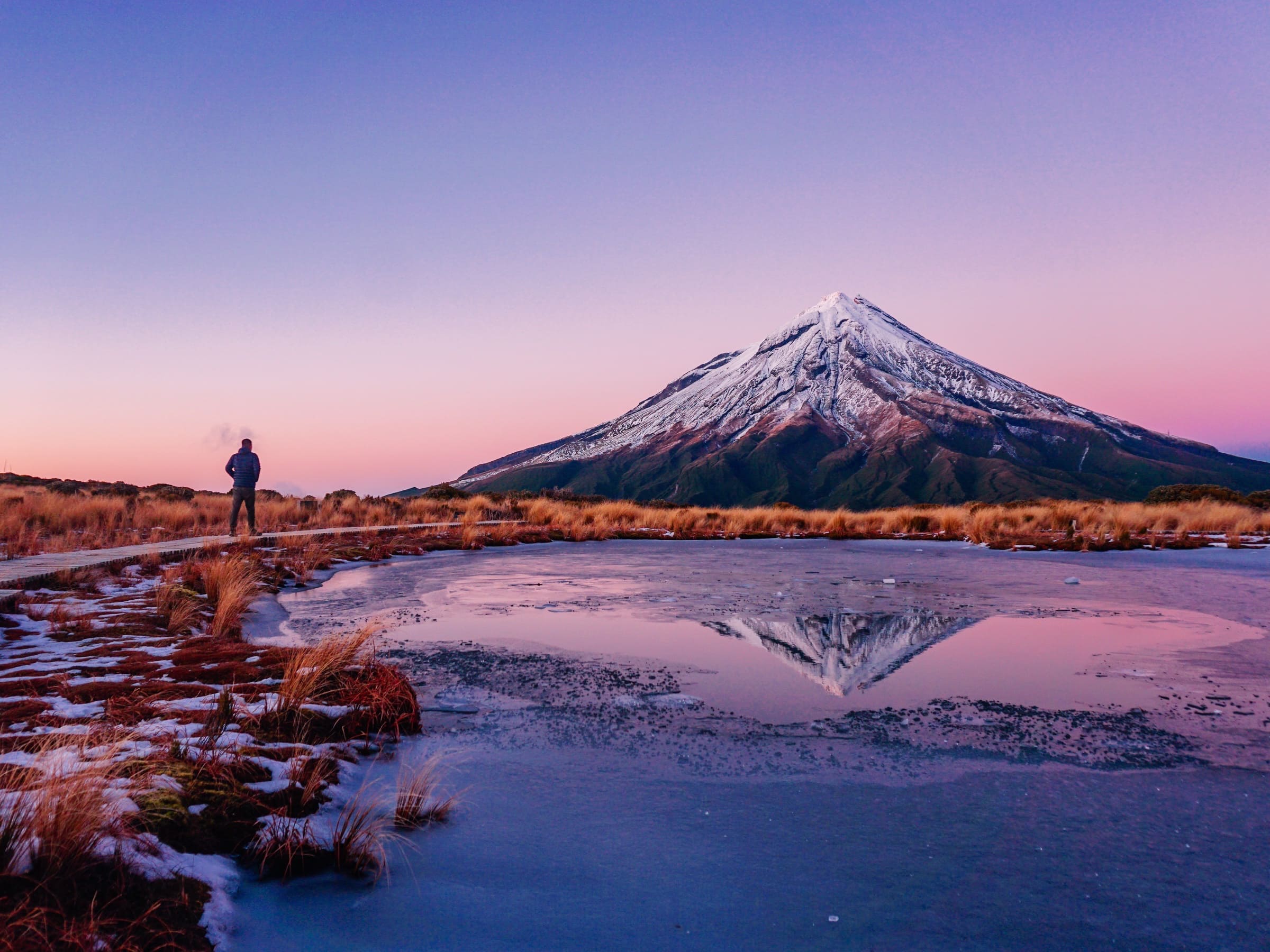Wholesale food & beverage suppliers in Taranaki