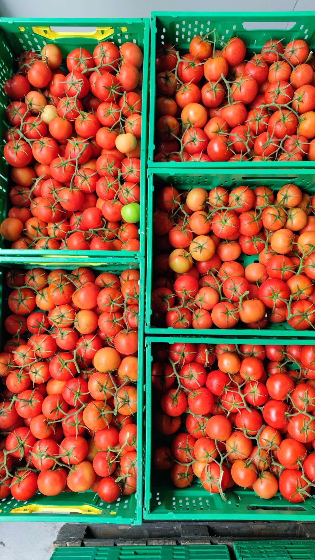 Buy wholesale Produce in bulk on Upstock