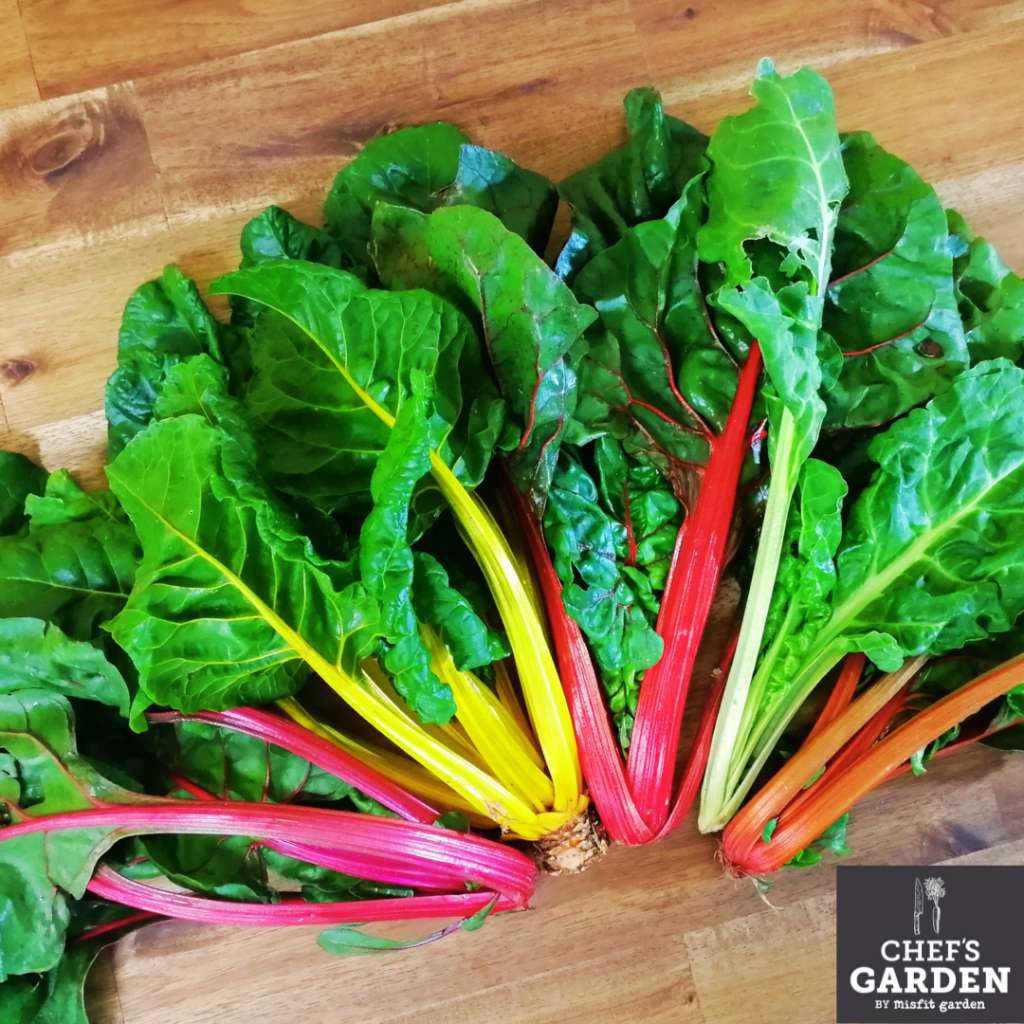 Order wholesale from Chef's Garden by Misfit Garden using Upstock