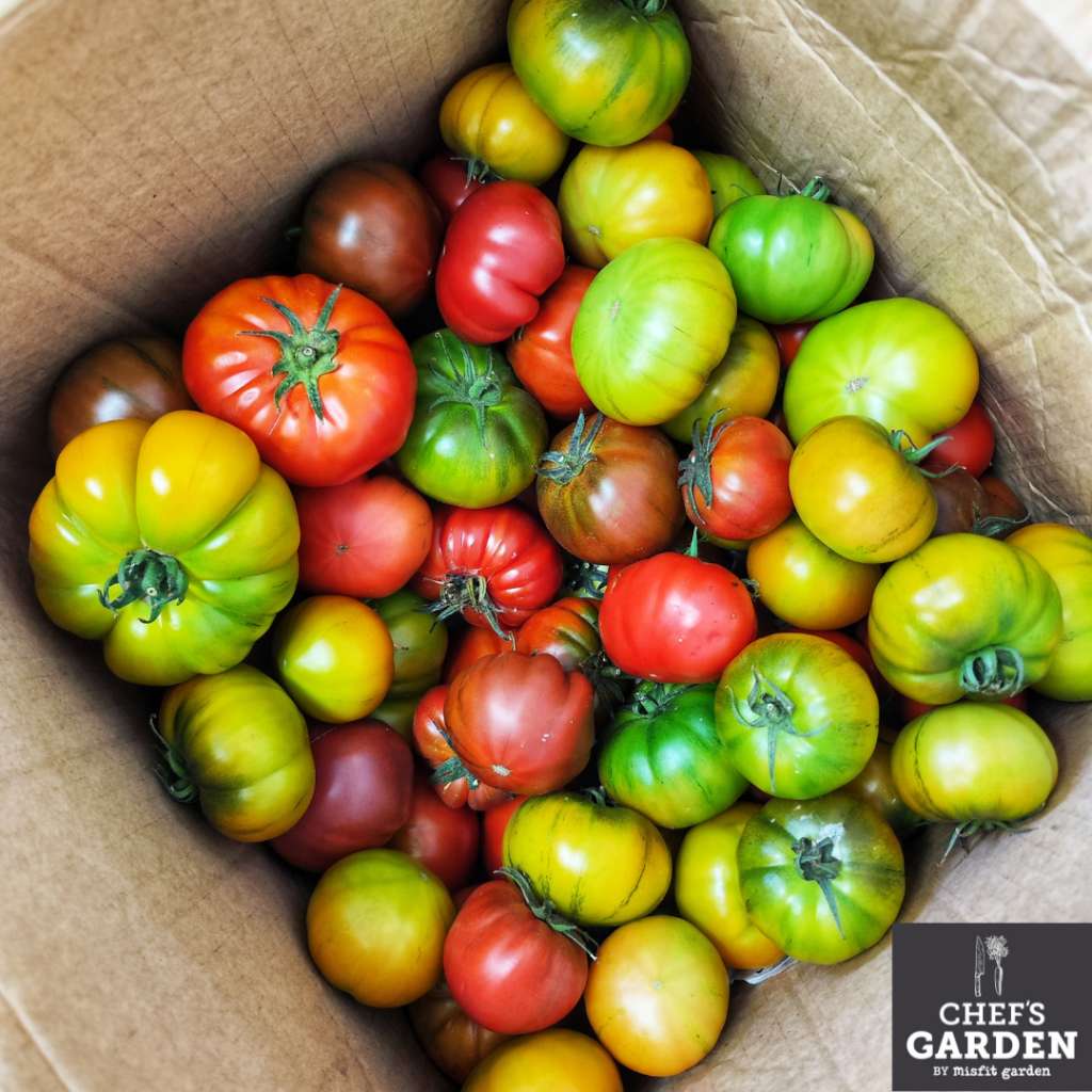 Order wholesale from Chef's Garden by Misfit Garden using Upstock