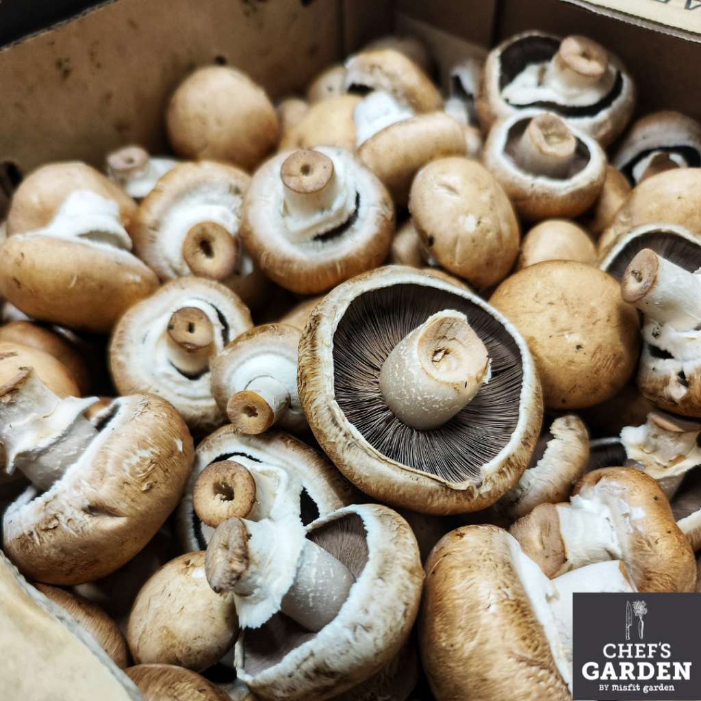 Order wholesale from Chef's Garden by Misfit Garden using Upstock