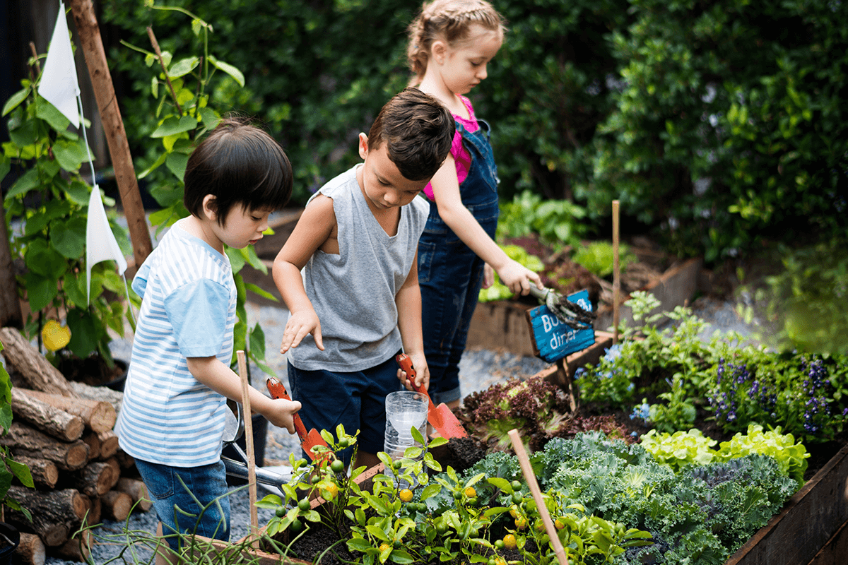 5 eco-friendly tips for your summer camp