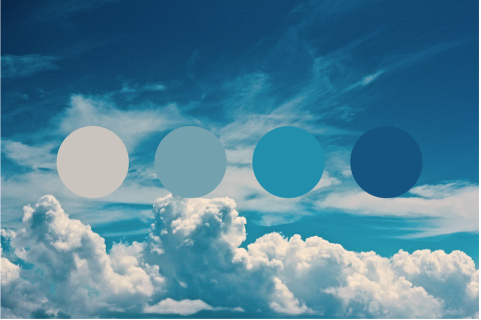 Iris Design Collaborative