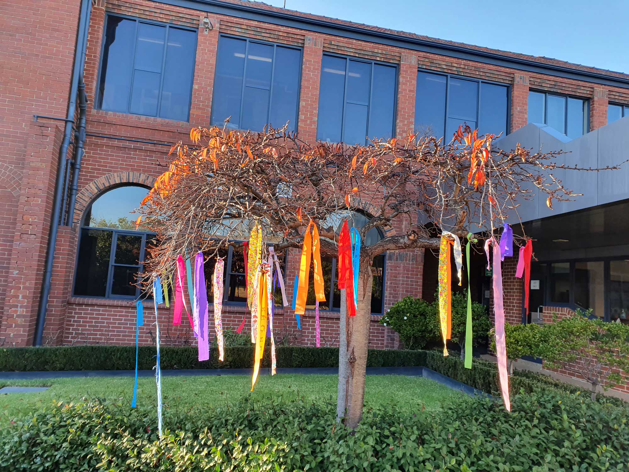 Transition | Santa Maria College