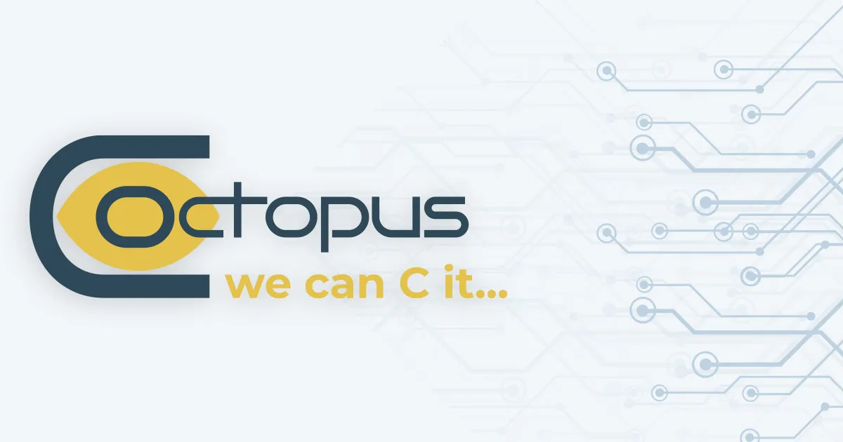 C-Octopus | Our services