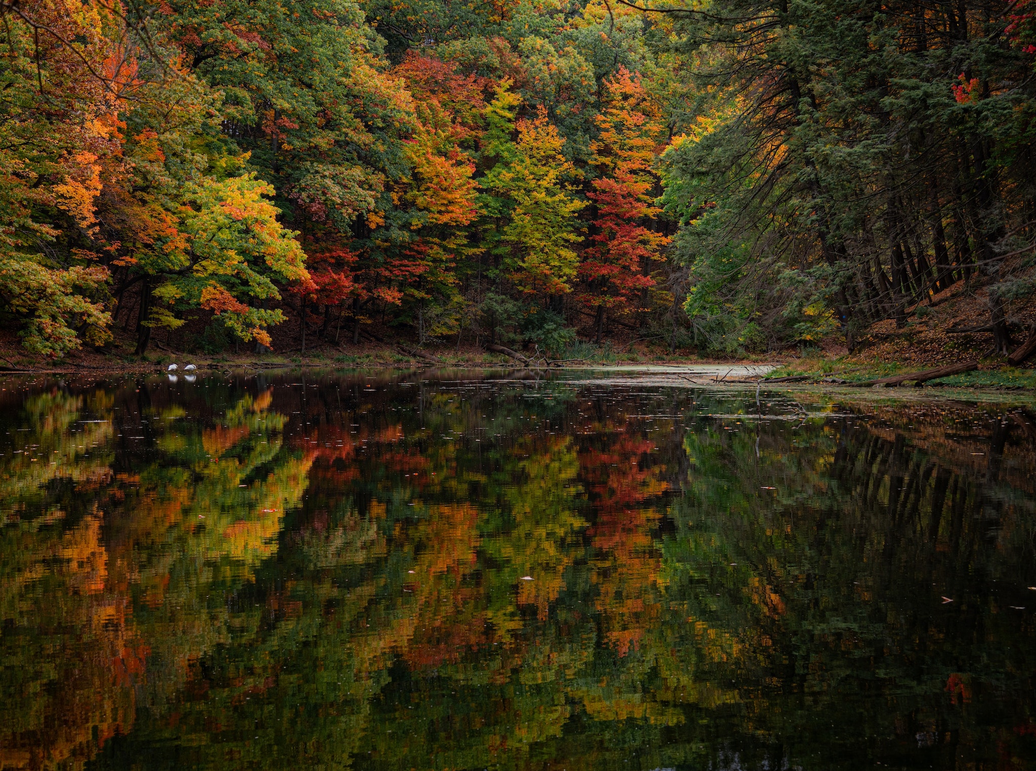 Quintessential Autumn
