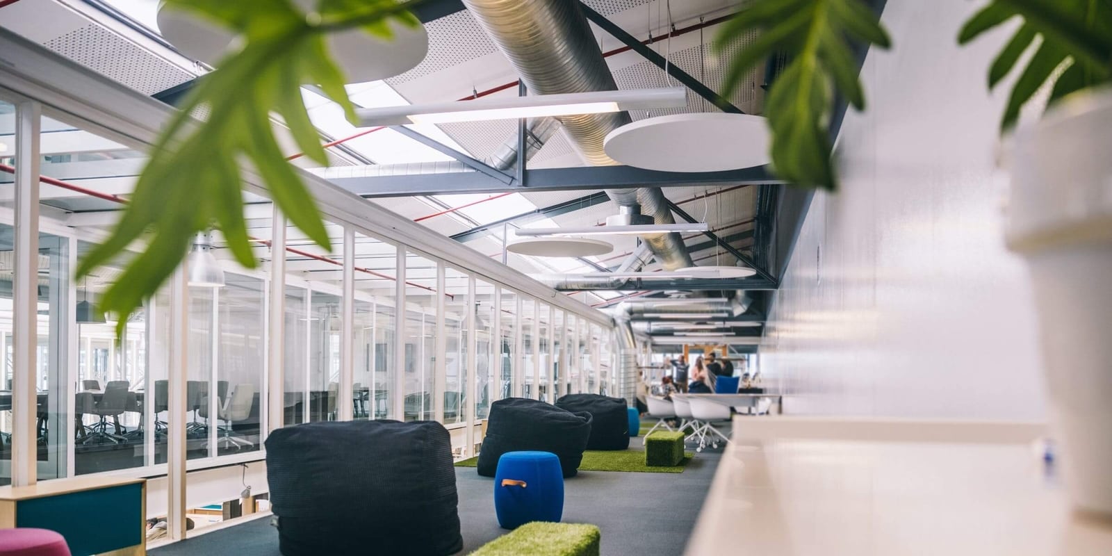 How to Create an Eco-Friendly Office (Complete Guide) | Eden Blog