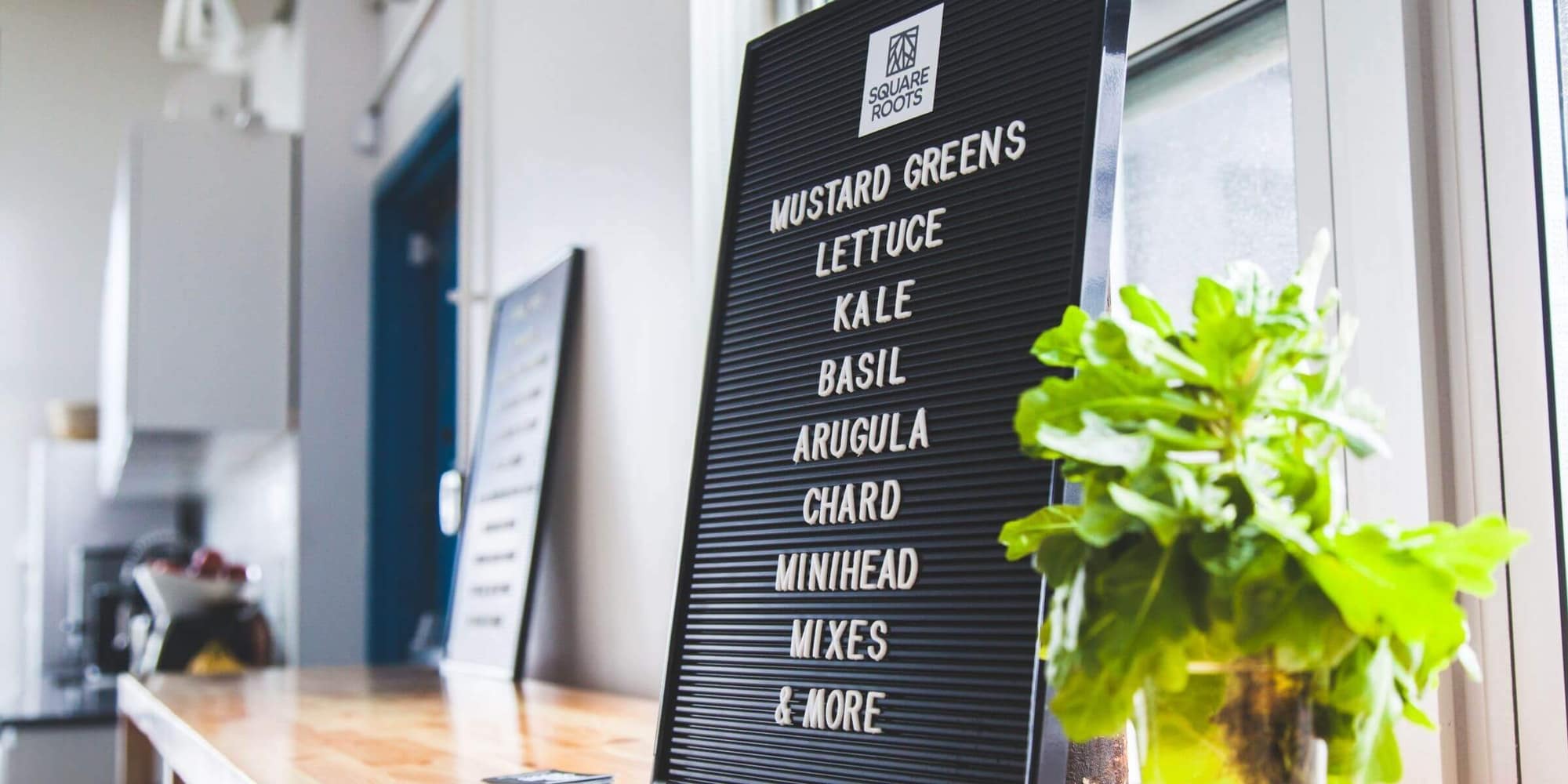 Square Roots Farm Brings Fresh Greens Direct to The Desk | Eden Blog