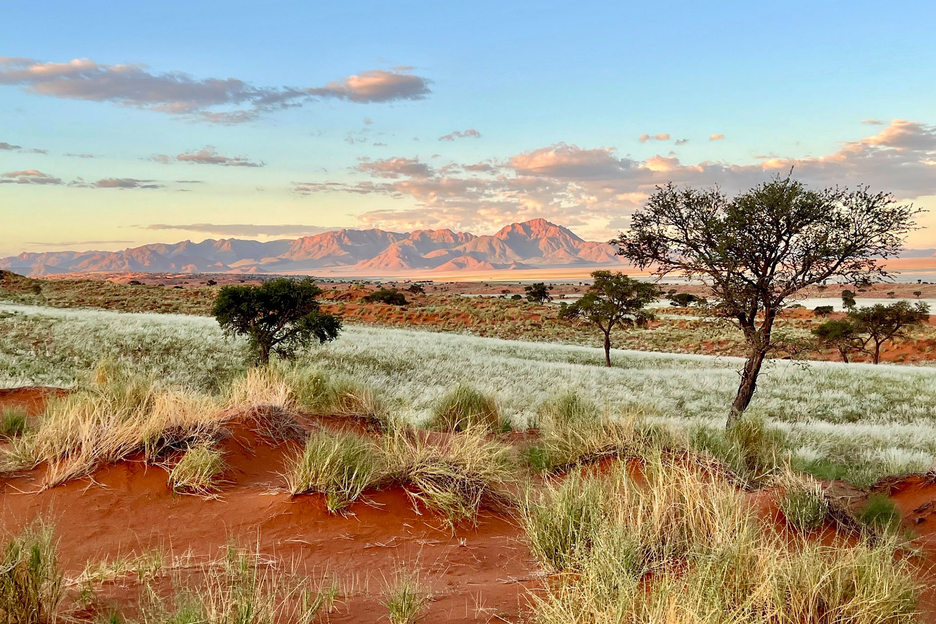 Elephants, Rhinos & People | ERP.NGO