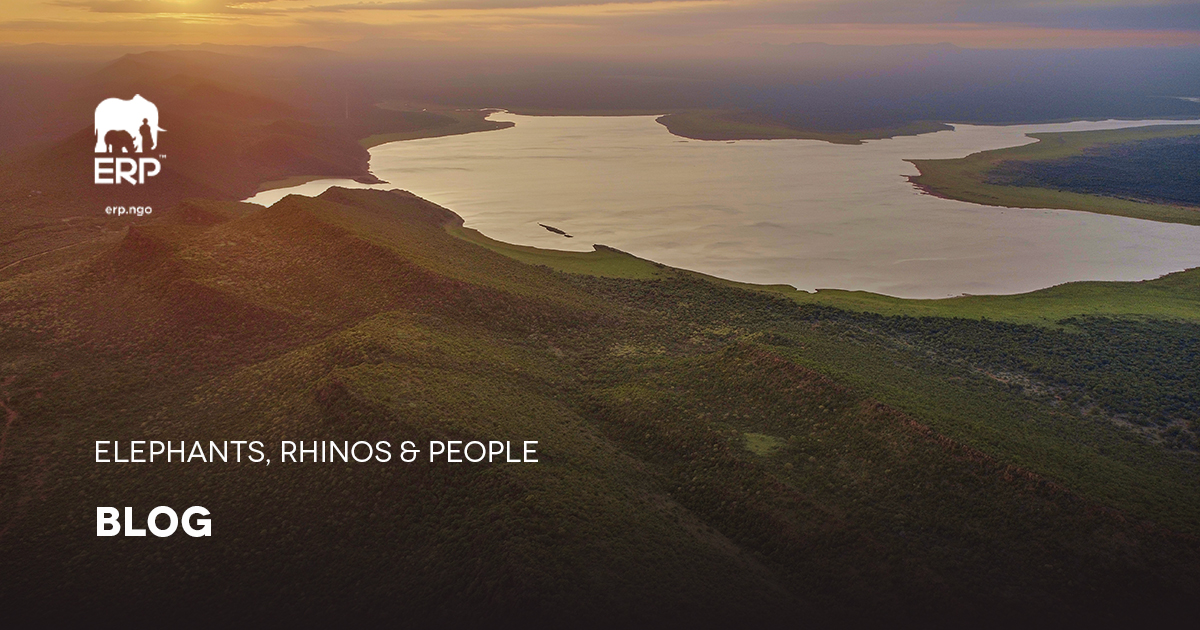Blog | ERP.NGO