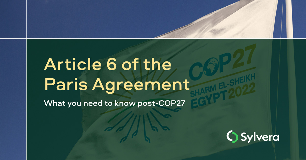 Article 6 policy guide