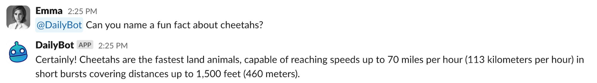 Intro to AI | DailyBot Academy