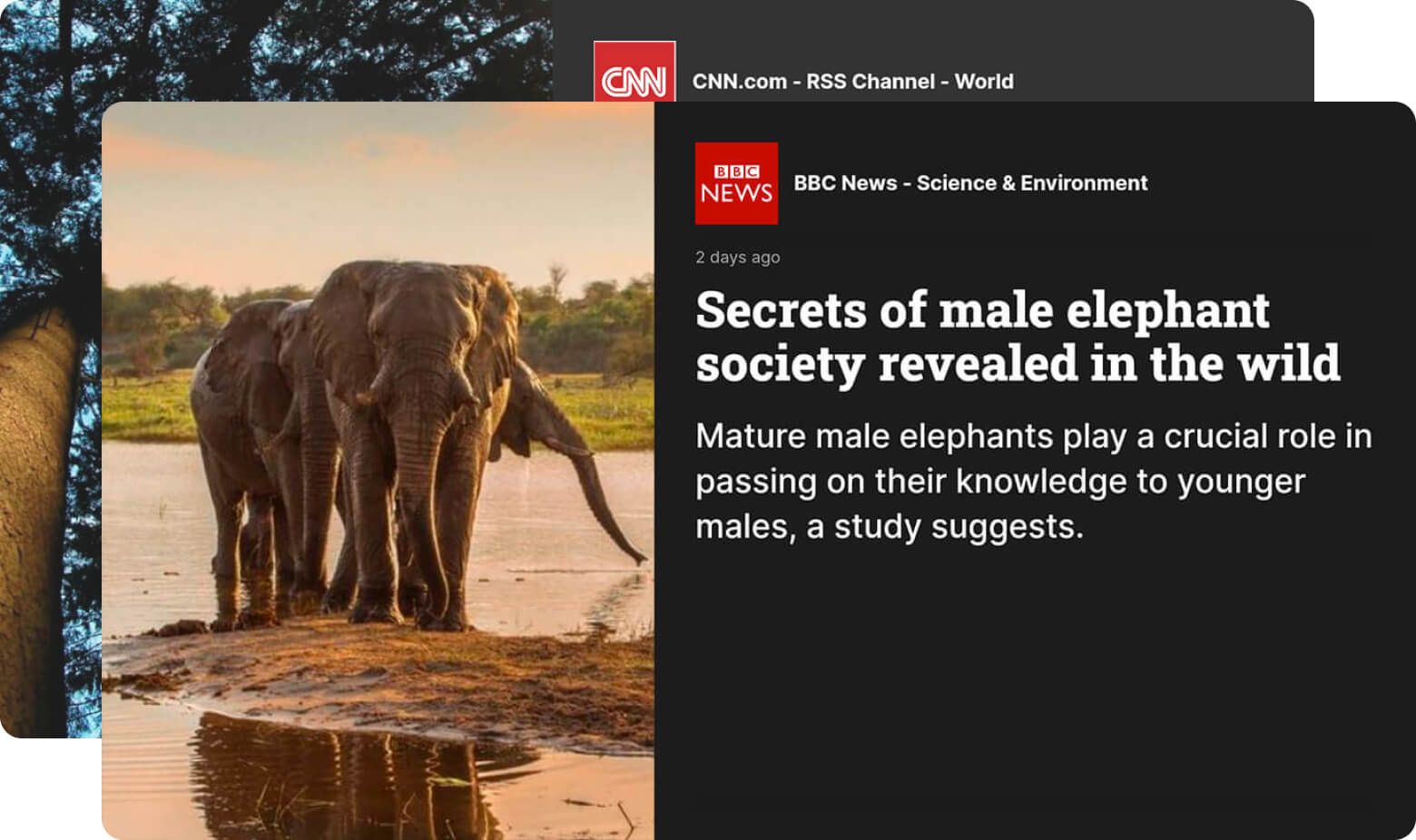 Knowlege-base: BBC & CNN