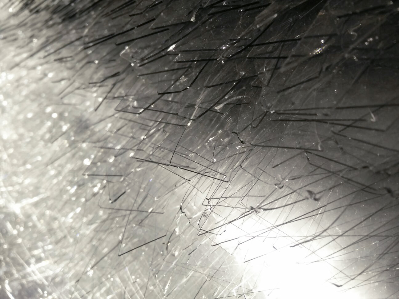 Artist: Josepha Gasch-Muche