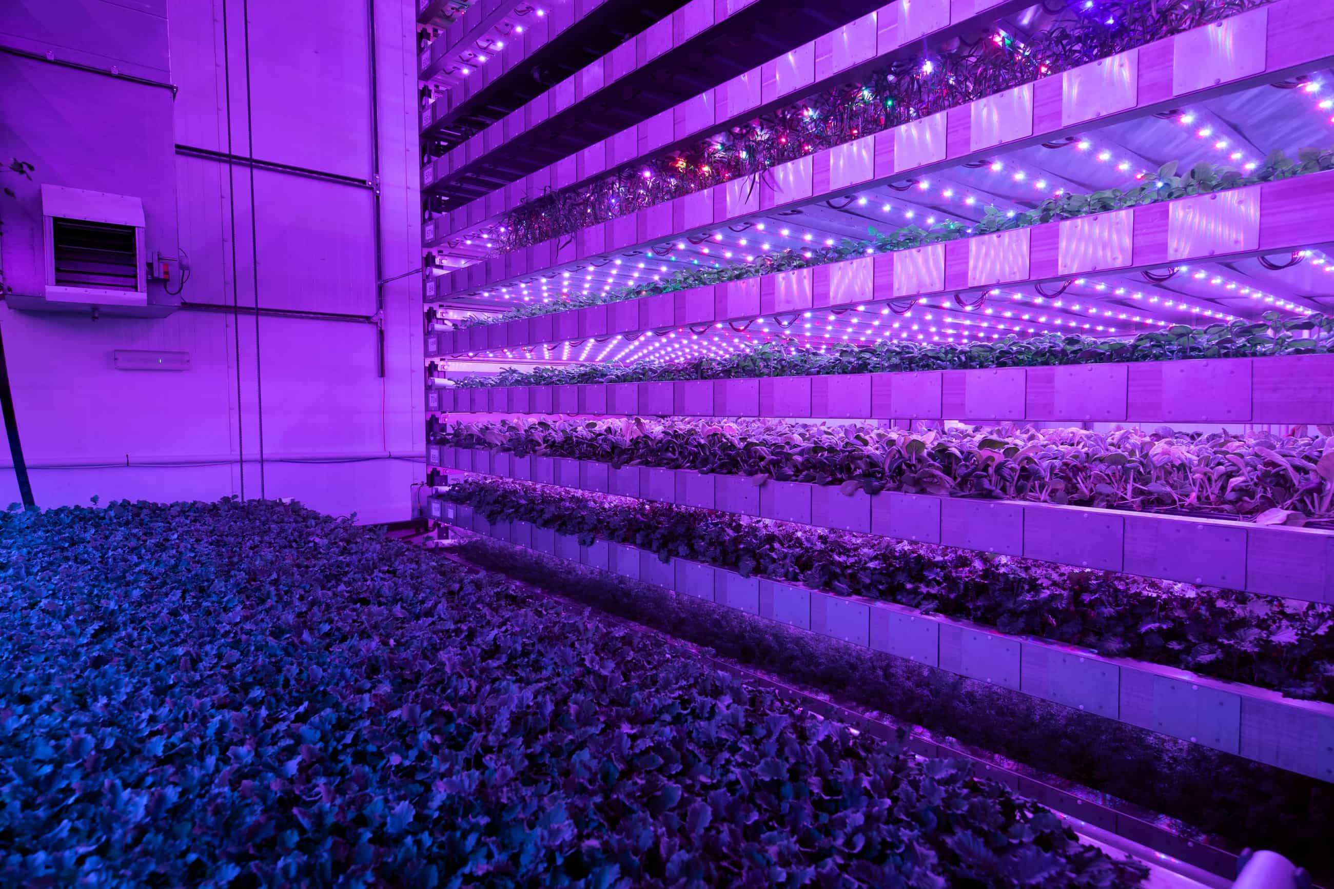 Intelligent Growth Solutions | Global Vertical Farming Technology