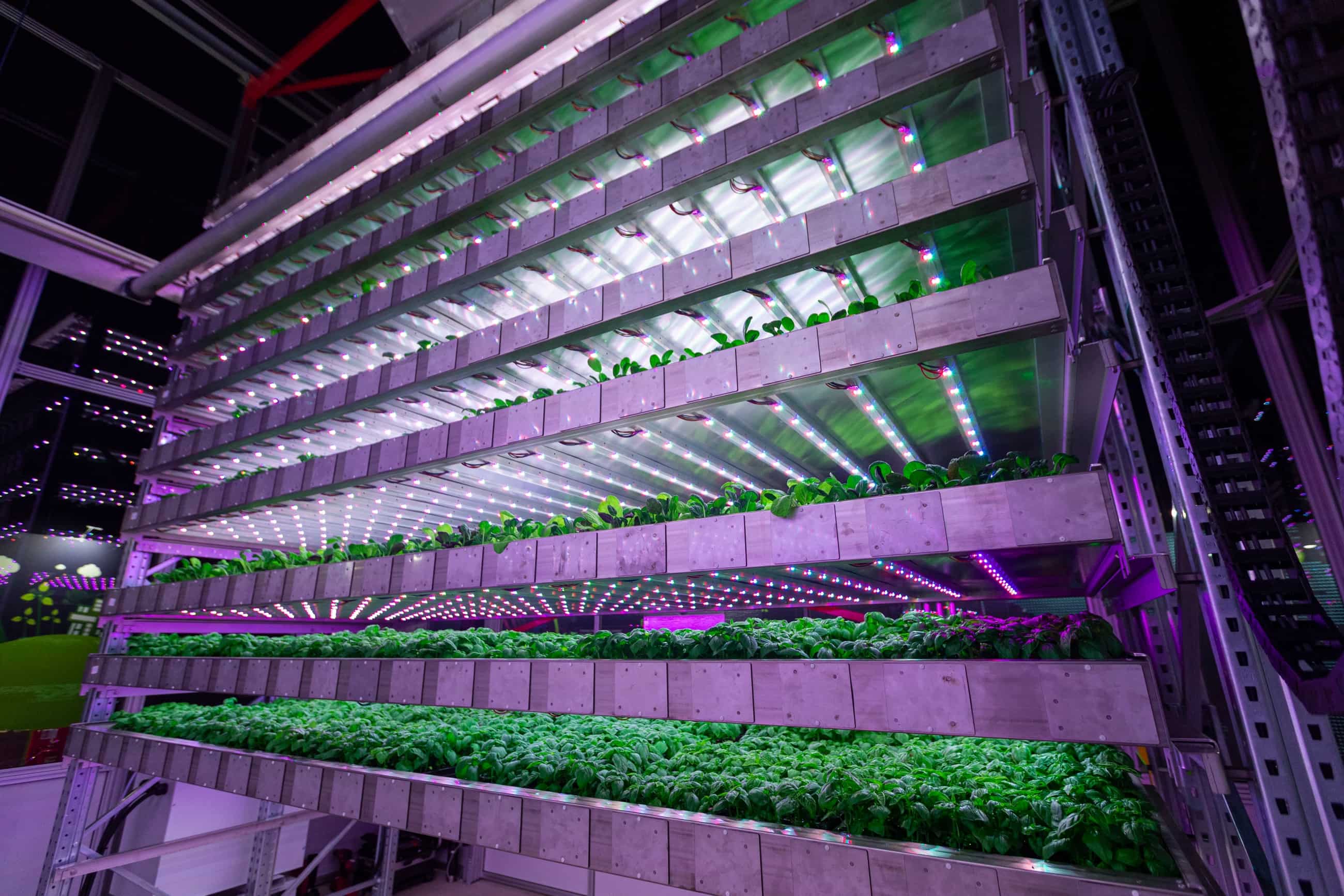 Resources | Intelligent Growth Solutions