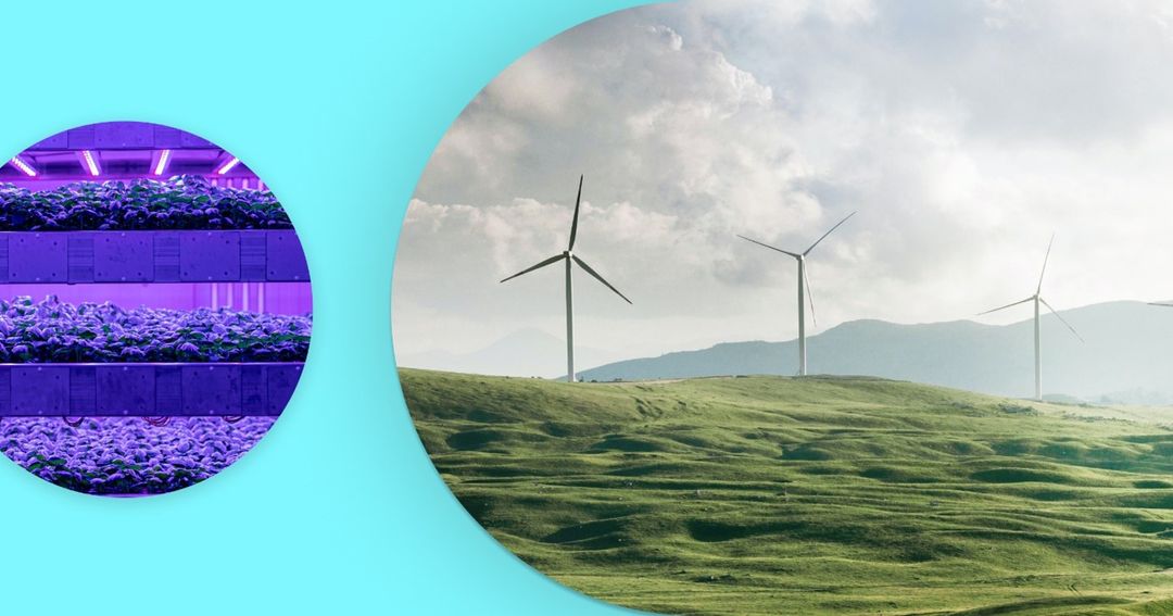 Can Renewable Energy be Used in Vertical Farming? | IGS