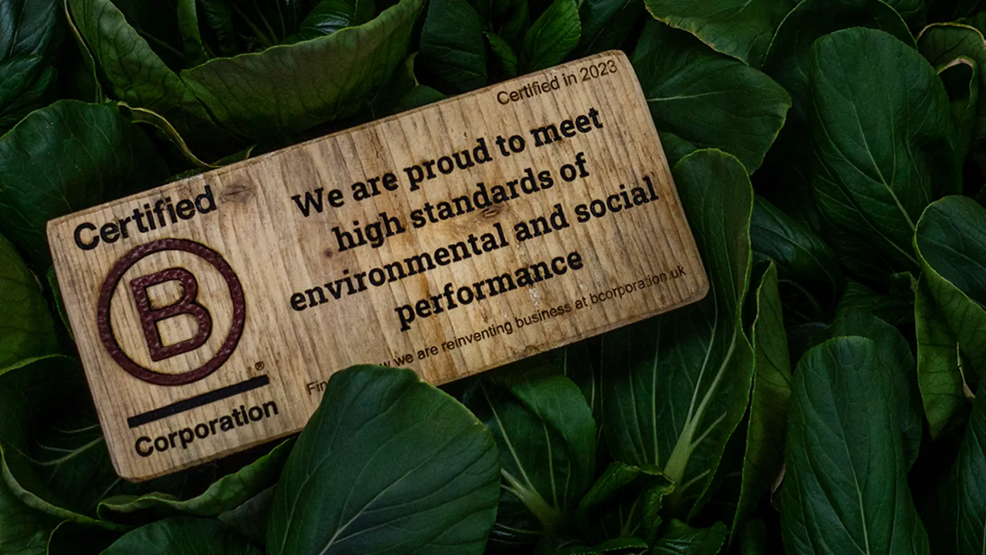 IGS Earns B Corp Accreditation | Intelligent Growth Solutions IGS Earns B Corp Accreditation | Intelligent Growth Solutions