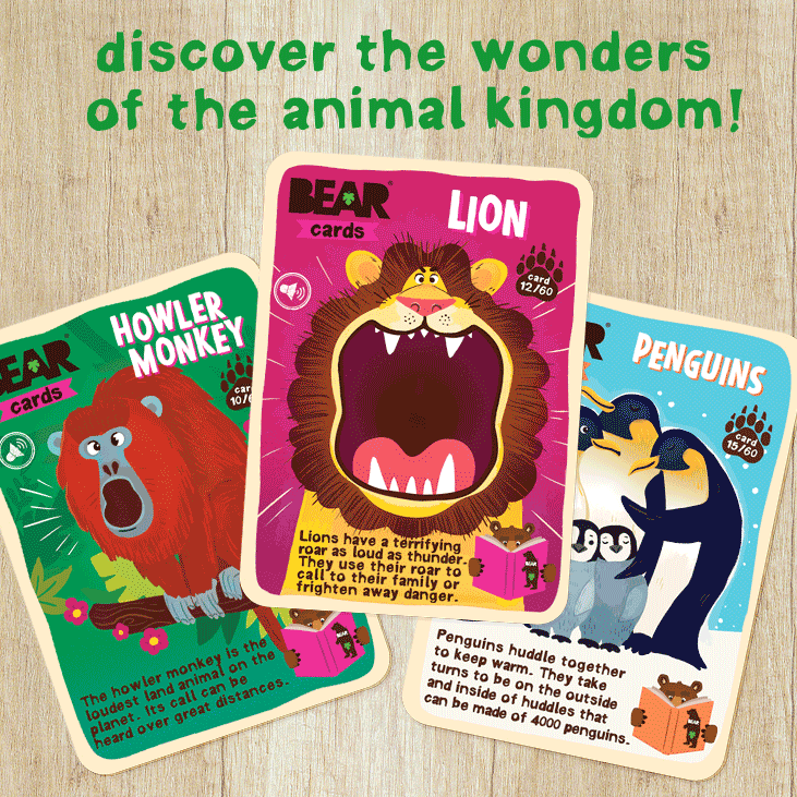 BEAR App | BEAR Snacks | Collect all our BEAR Cards