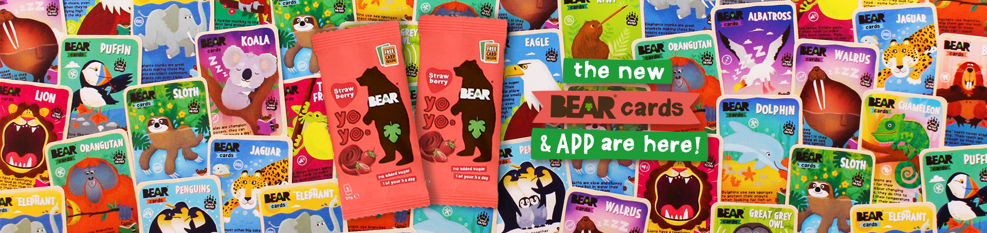 BEAR Snacks | Healthy Snacks for Kids