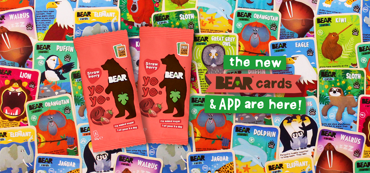 BEAR Snacks | Healthy Snacks for Kids