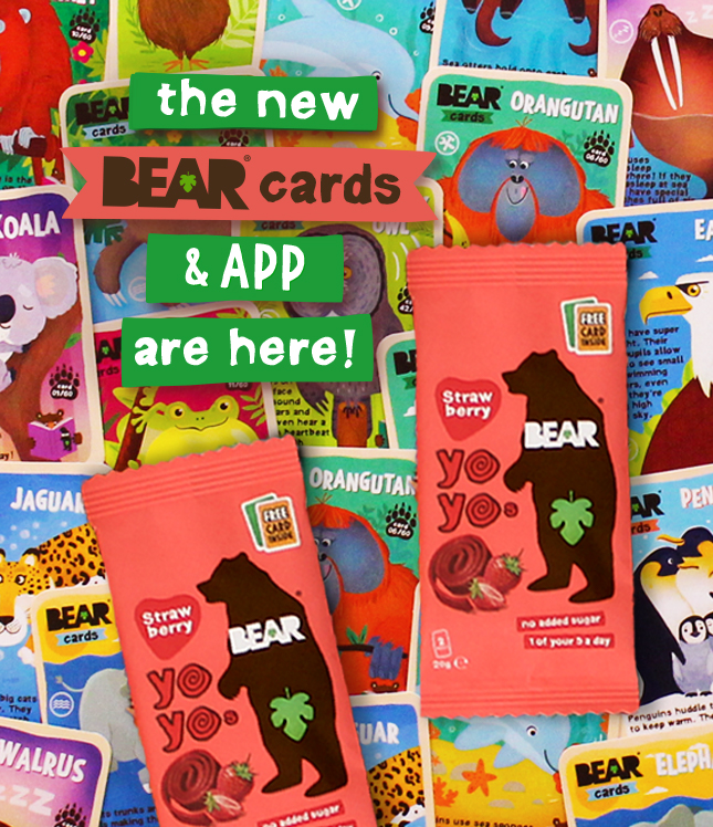 BEAR Snacks | Healthy Snacks for Kids