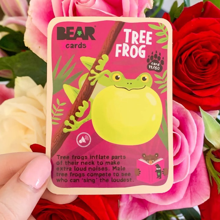 BEAR Snacks | Healthy Snacks for Kids