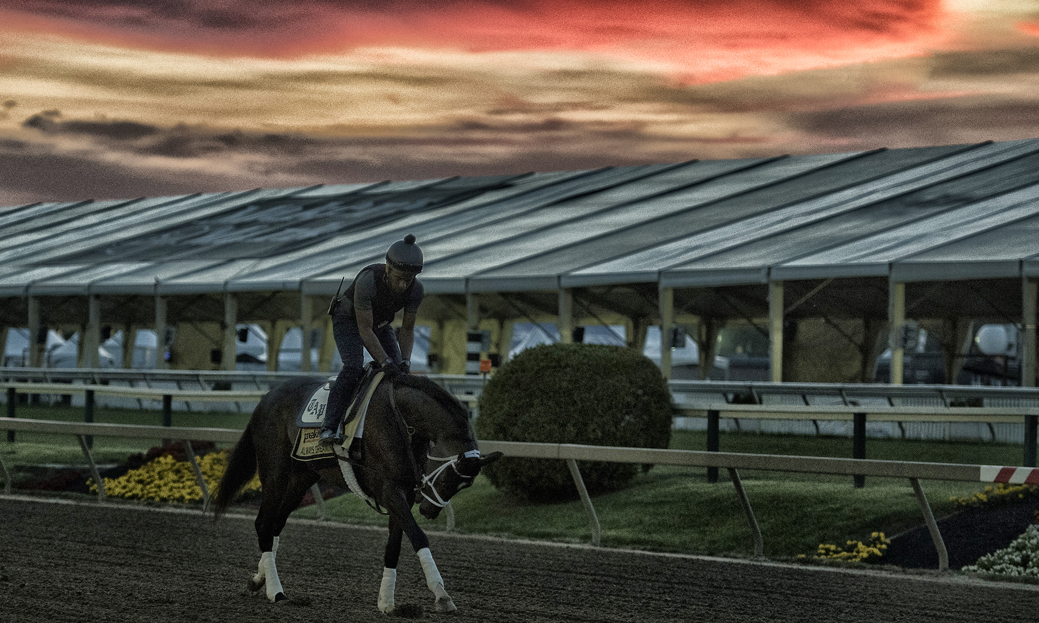 Kali Francois & Tim Tullock: Pimlico Full-Card Picks | Saturday ...