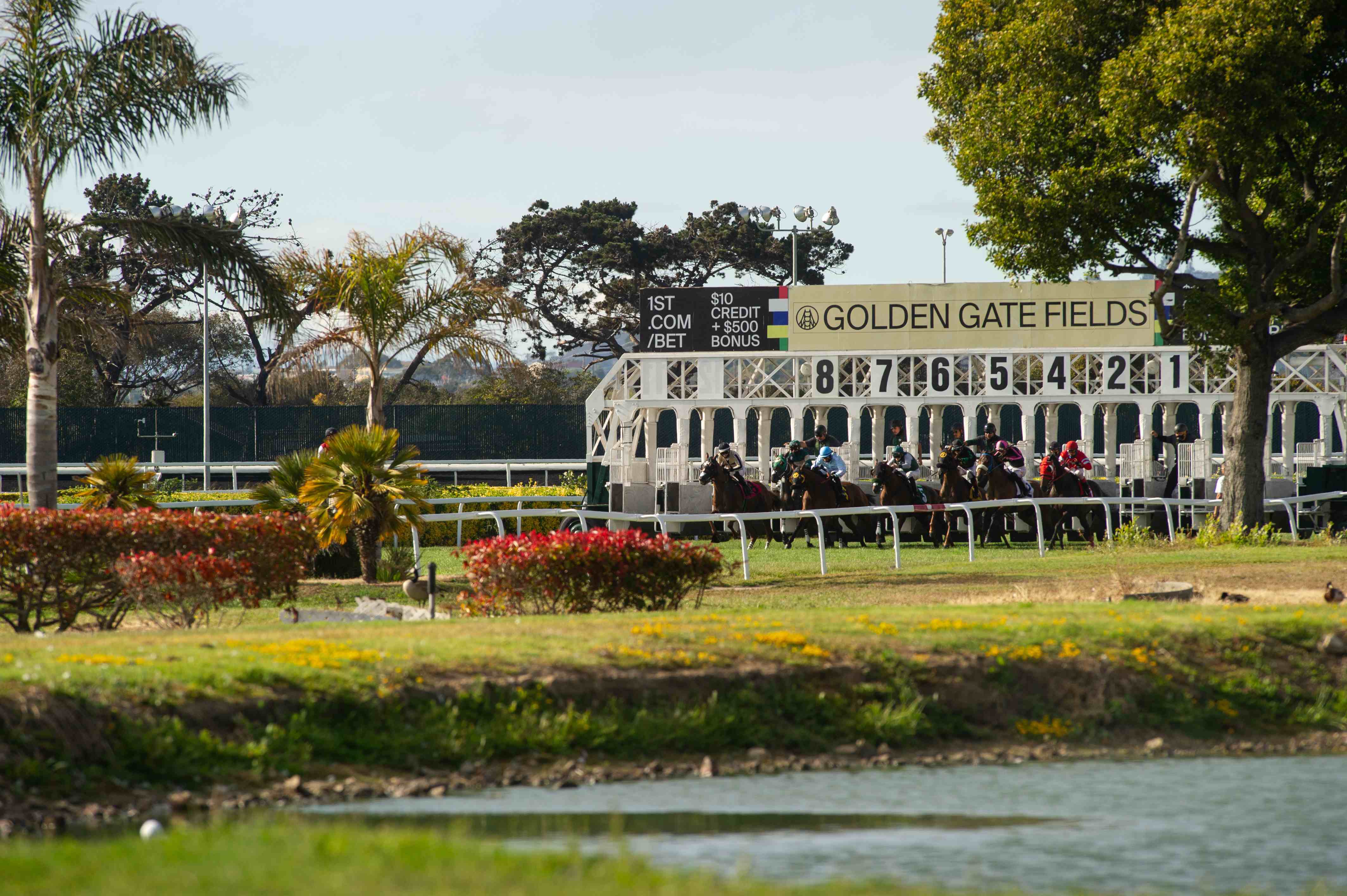 1/ST Look: Golden Gate Fields 5 Facts | December 7-12, 2021 - 1/ST BET NEWS