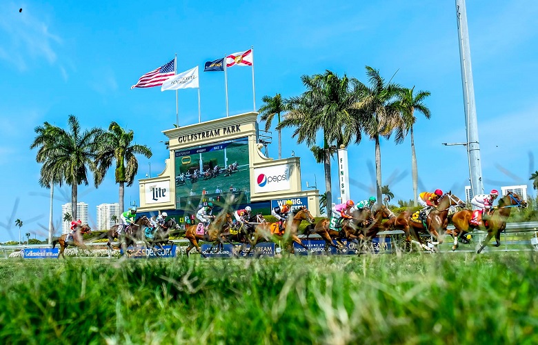 Jeff Siegel: Gulfstream Park What You Need to Know | Friday, December ...
