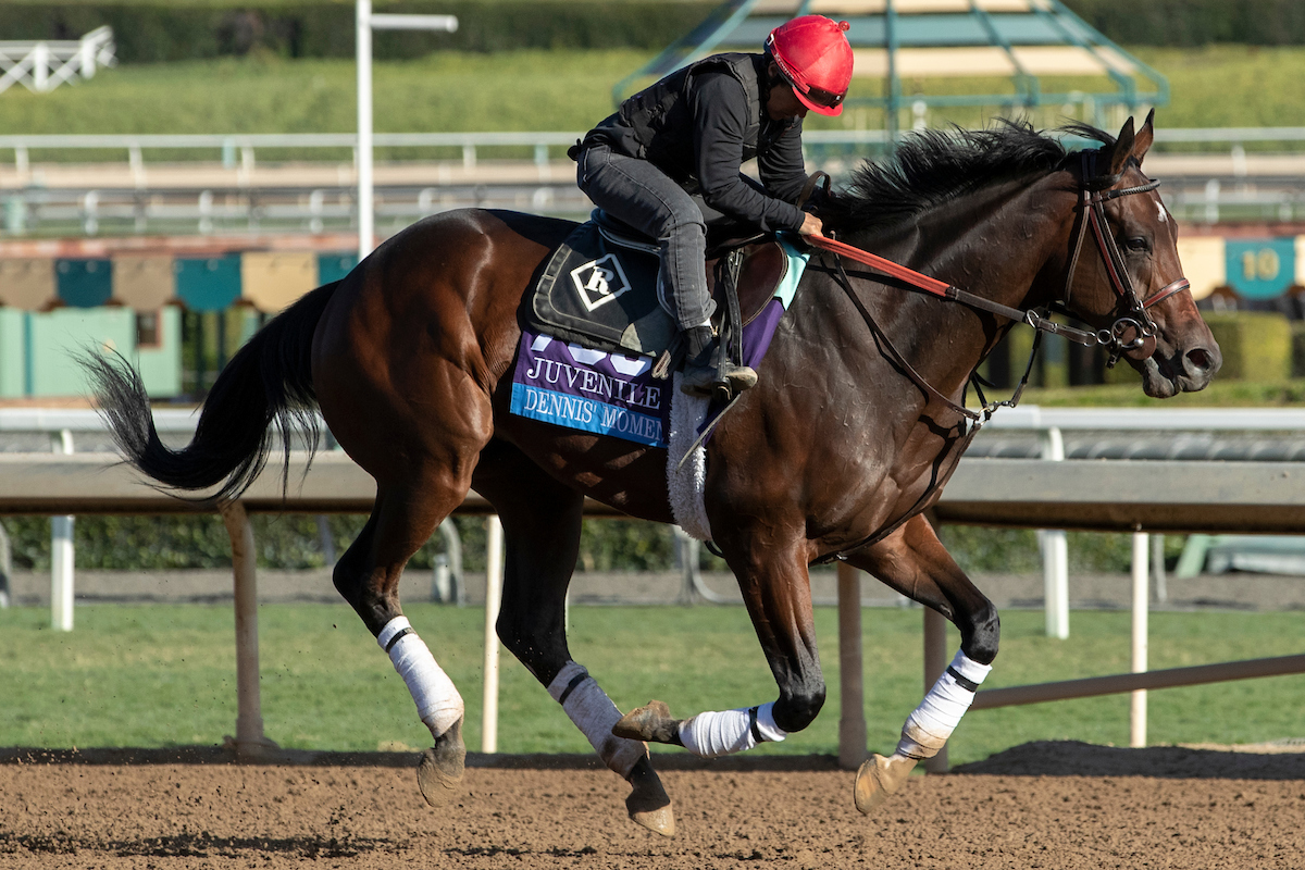 Race of the Week: Mr. Prospector at Gulfstream | Saturday, December 11 ...
