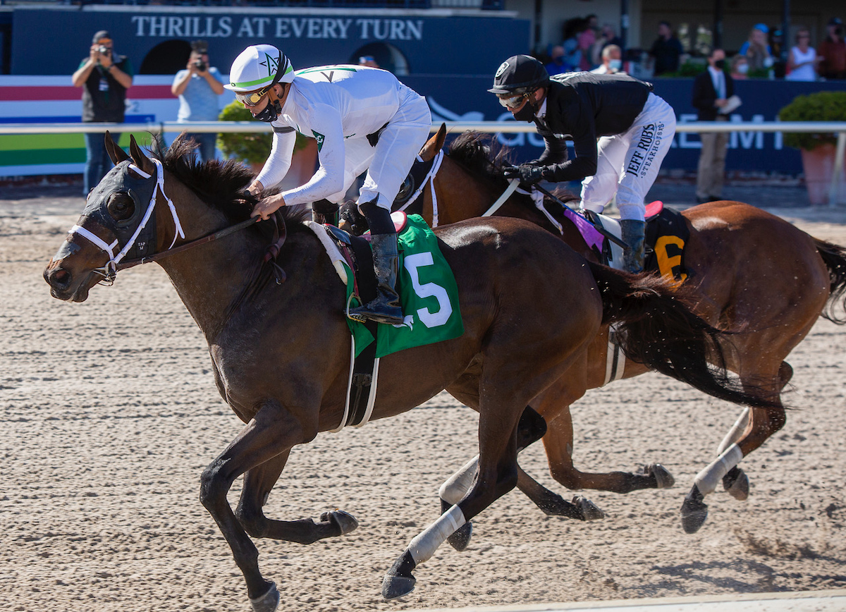 Race of the Week: Ghostzapper Stakes at Gulfstream Park | Saturday ...