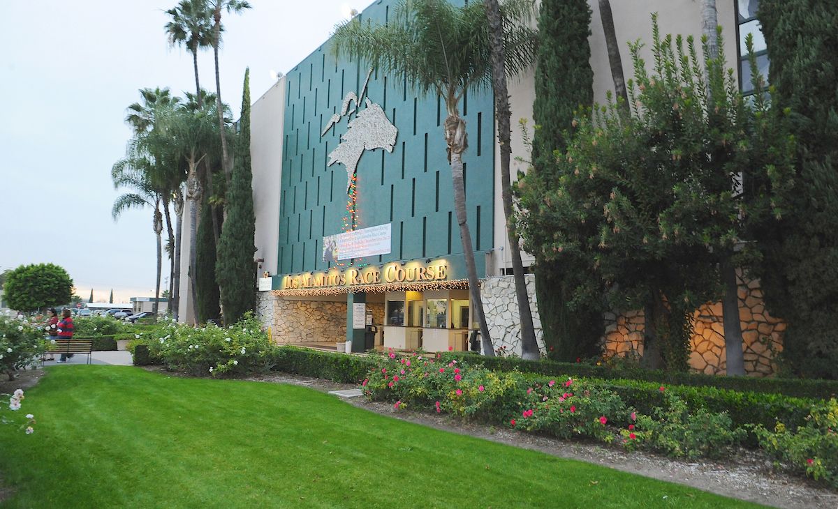 Champion of Champions at Los Al: Meet the Contenders - 1/ST BET NEWS