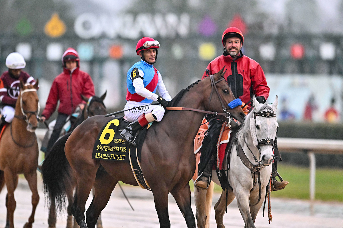 Jon White: Status Quo for Kentucky Derby Top 10 + Holy Bull & Lewis ...