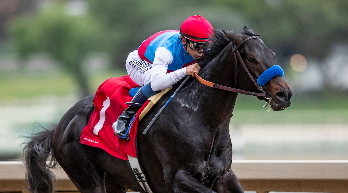 Race of the Week: Fred W. Hooper from Gulfstream Park | Saturday ...